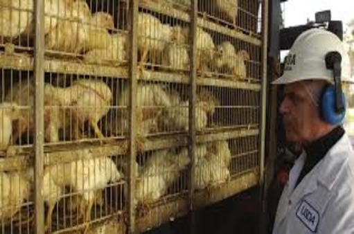 All courses | TrainingPROD